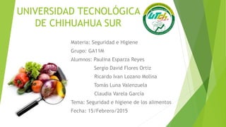 Seguridad e higiene en los alimentos | PPTX