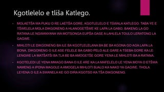 Sehlopha B Presentation.pptx