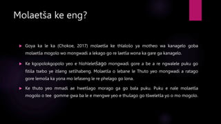 Sehlopha B Presentation.pptx