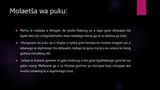 Sehlopha B Presentation.pptx