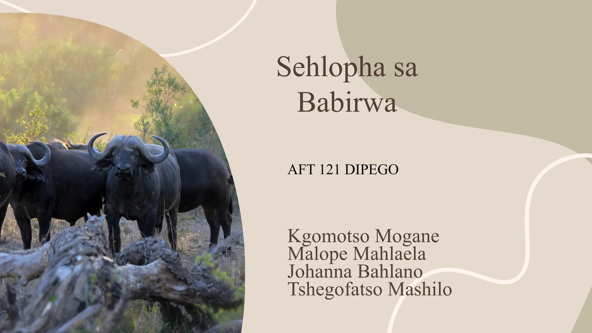 Sehlopha sa Babirwa AFT 121 GK 2024.pptx