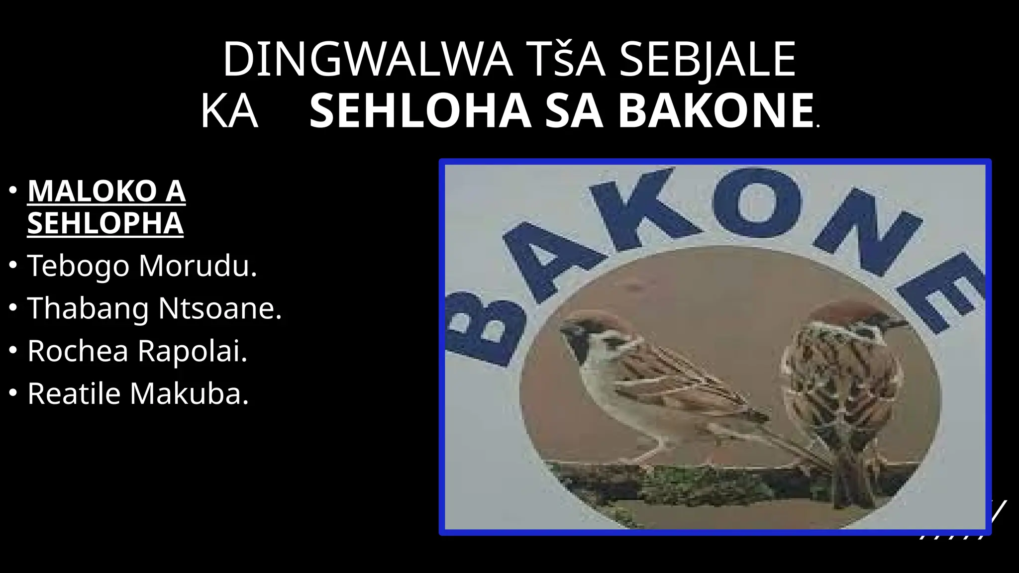 Sehlopha Sa Bakone (Dingwalwa tša Sebjale..pptx
