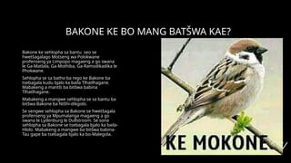 Sehlopha Sa Bakone (Dingwalwa tša Sebjale..pptx