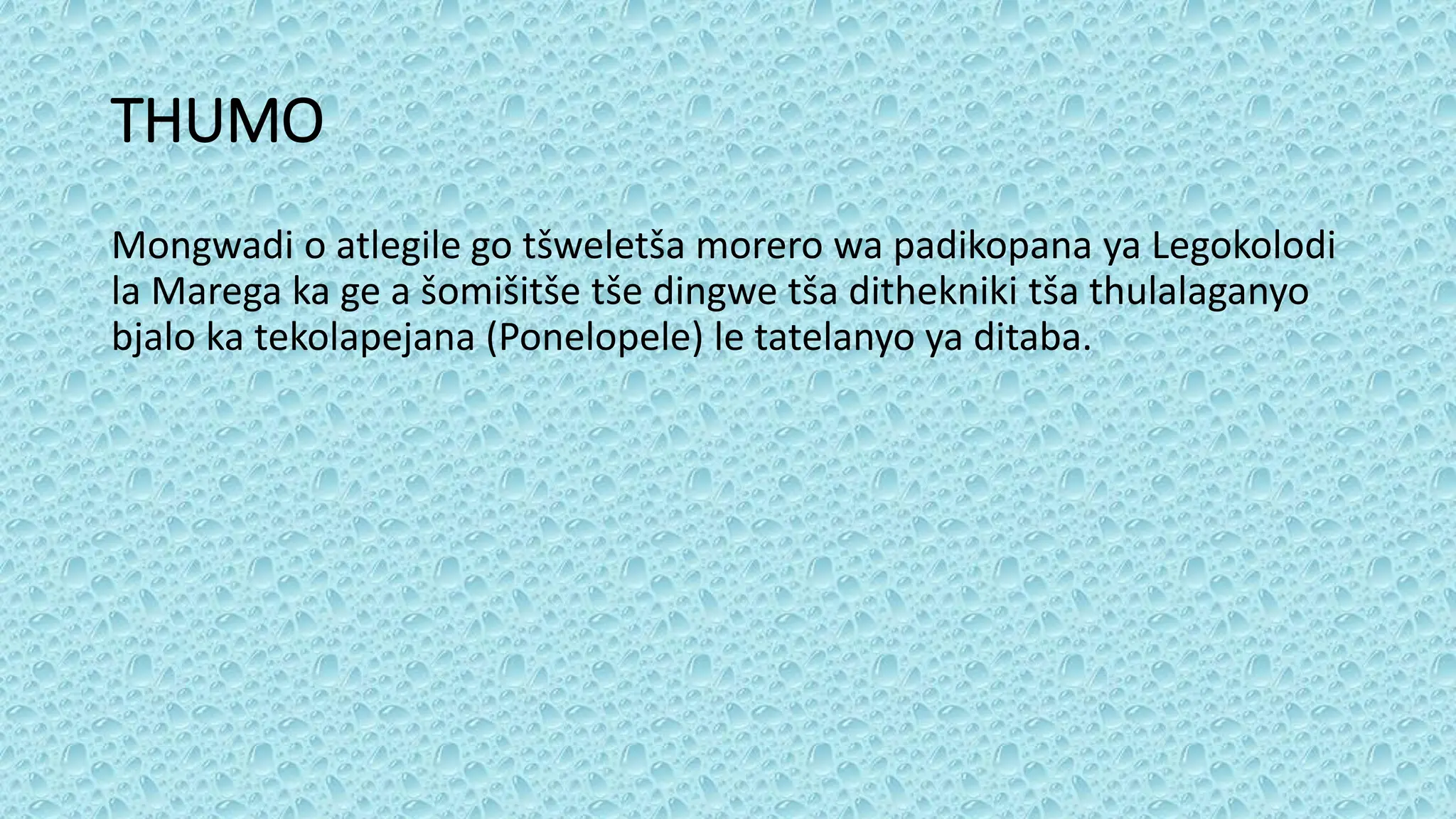 Sehlopha sa Baroka AFT 121 Presentation-2.pdf