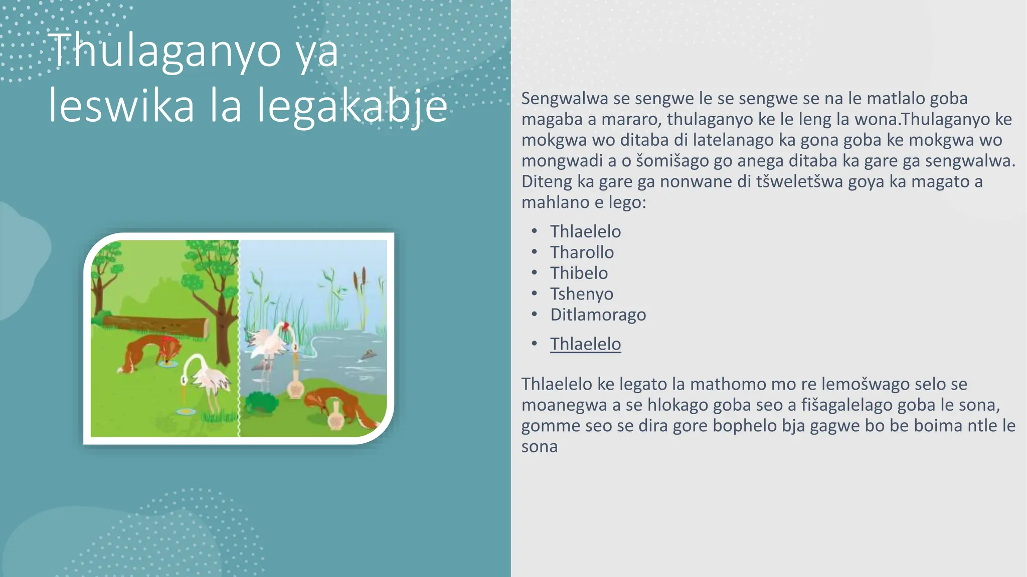 Sehlopha sa Ditlou Tshekatsheko ya nonwane ya kgogamašego-2.pptx