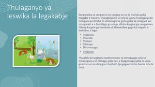 Sehlopha sa Ditlou Tshekatsheko ya nonwane ya kgogamašego-2.pptx