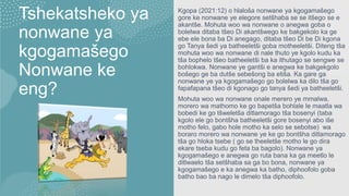 Sehlopha sa Ditlou Tshekatsheko ya nonwane ya kgogamašego-2.pptx