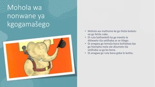 Sehlopha sa Ditlou Tshekatsheko ya nonwane ya kgogamašego-2.pptx