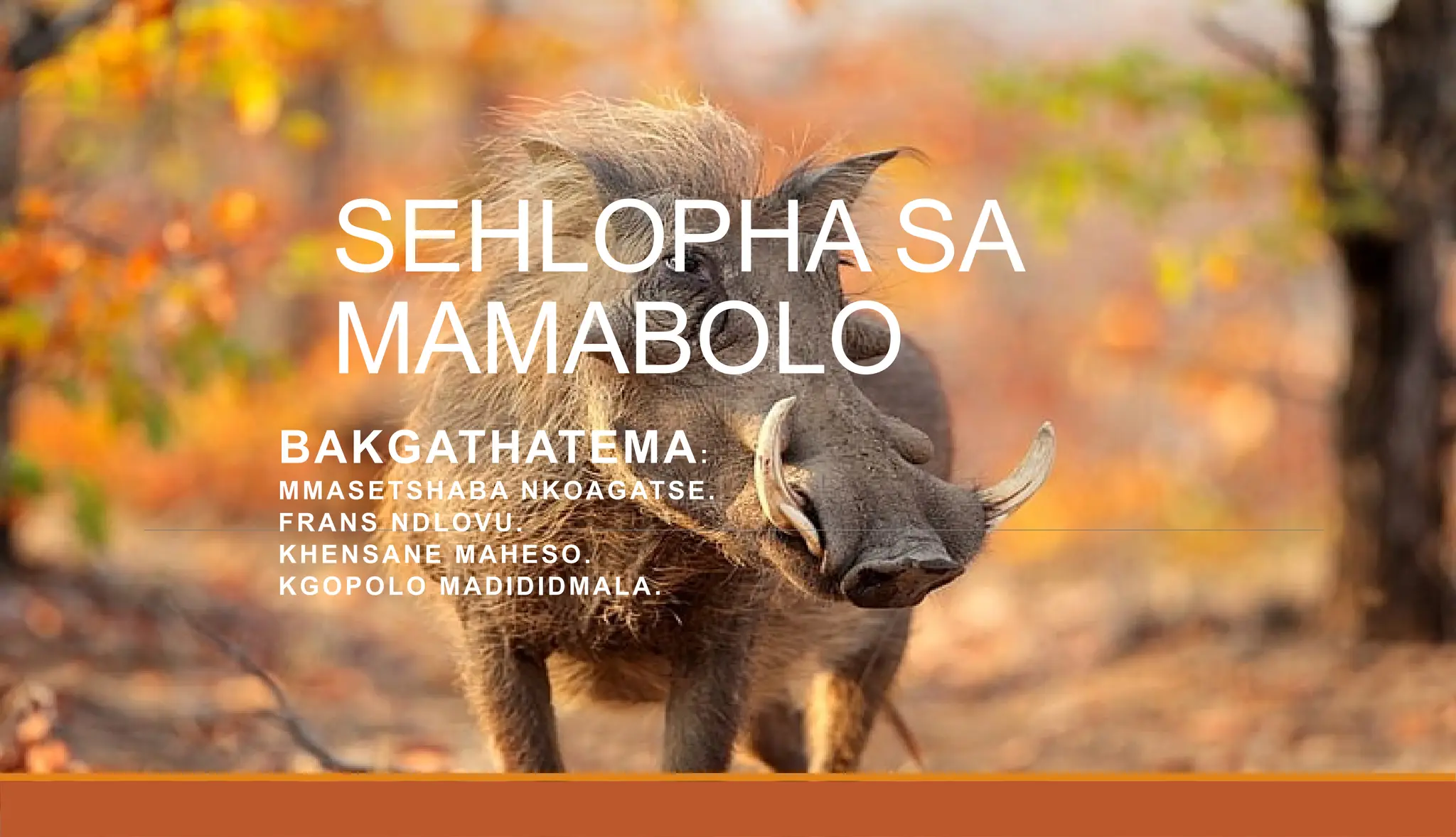 Sehlopha_sa_ga_mamabolo AFT 121.pptx sepedi | PPTX