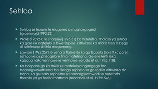 Sehlopha_sa_Kgoši_Molepo[1].pptx Thulaganyo | PPTX
