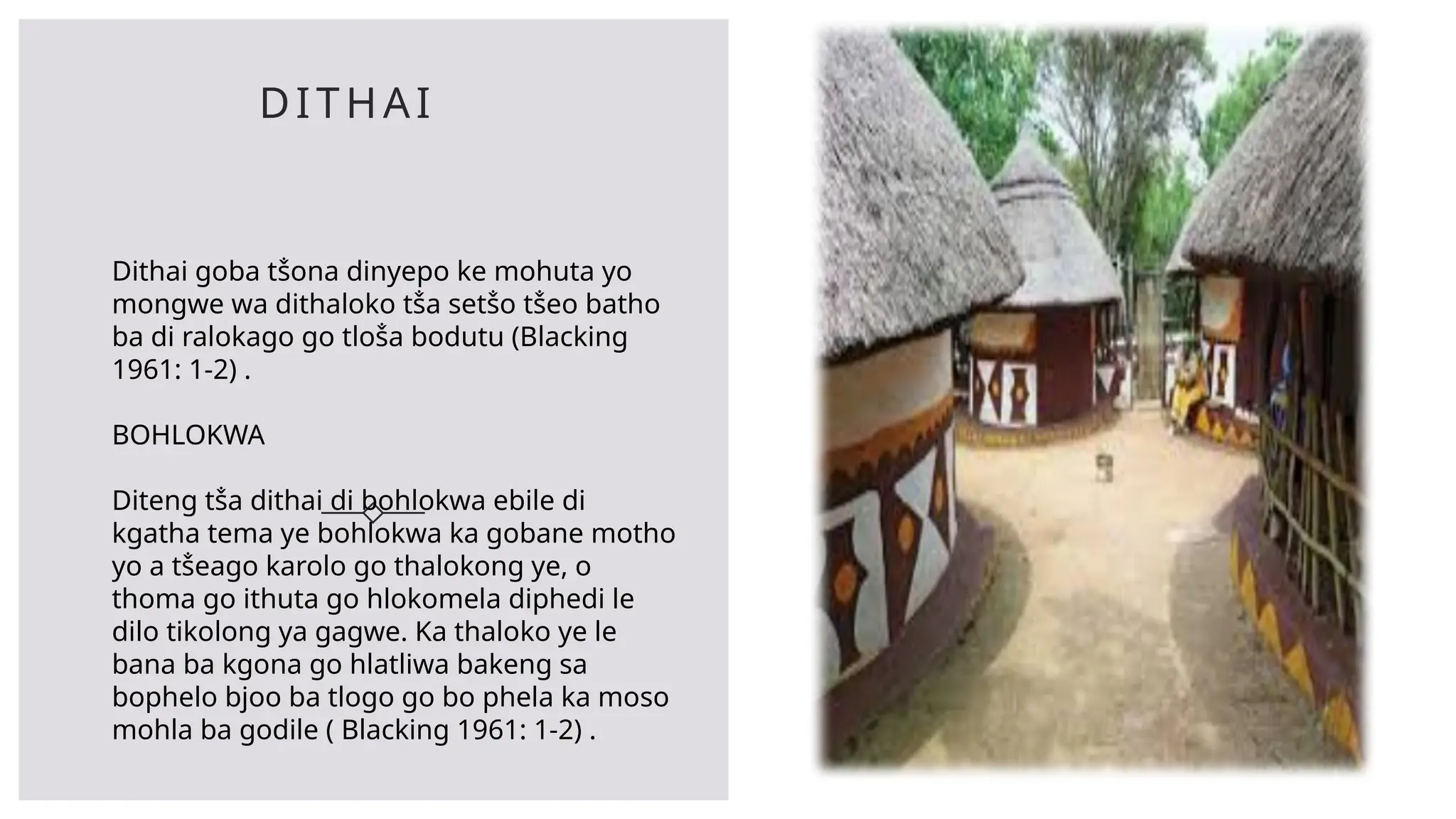 Sehlopha_sa_lepelle_(3)[1] PRESENTATIOB .pptx