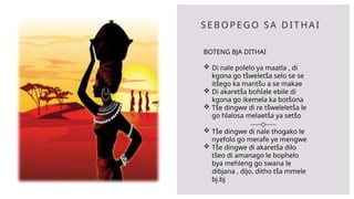 Sehlopha_sa_lepelle_(3)[1] PRESENTATIOB .pptx