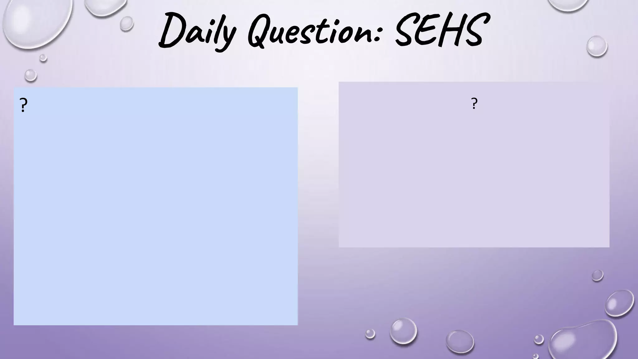 SEHS Daily Questions - Movement Analysis (2022-2023).pptx ...