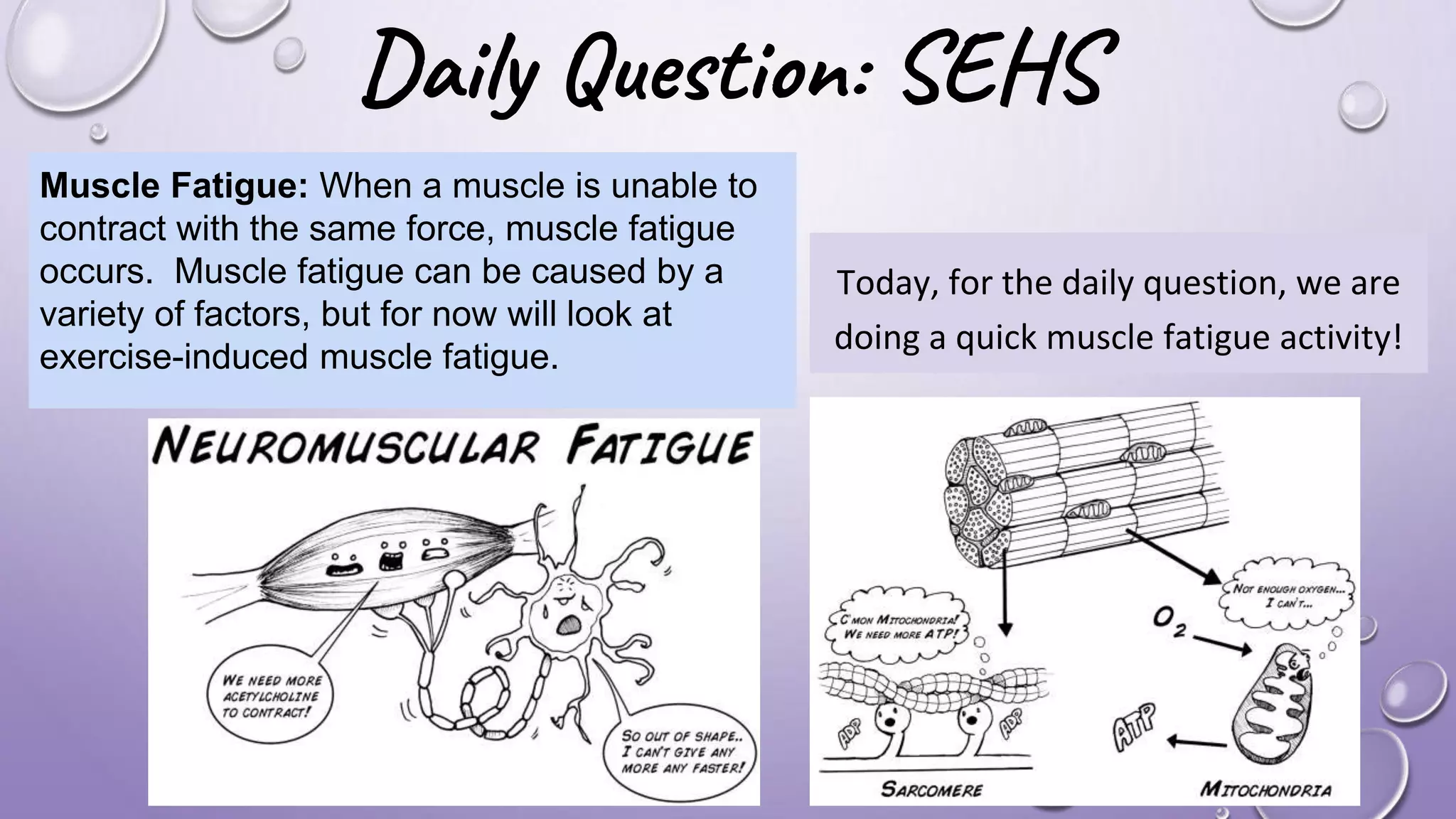 SEHS Daily Questions - Movement Analysis (2022-2023).pptx ...
