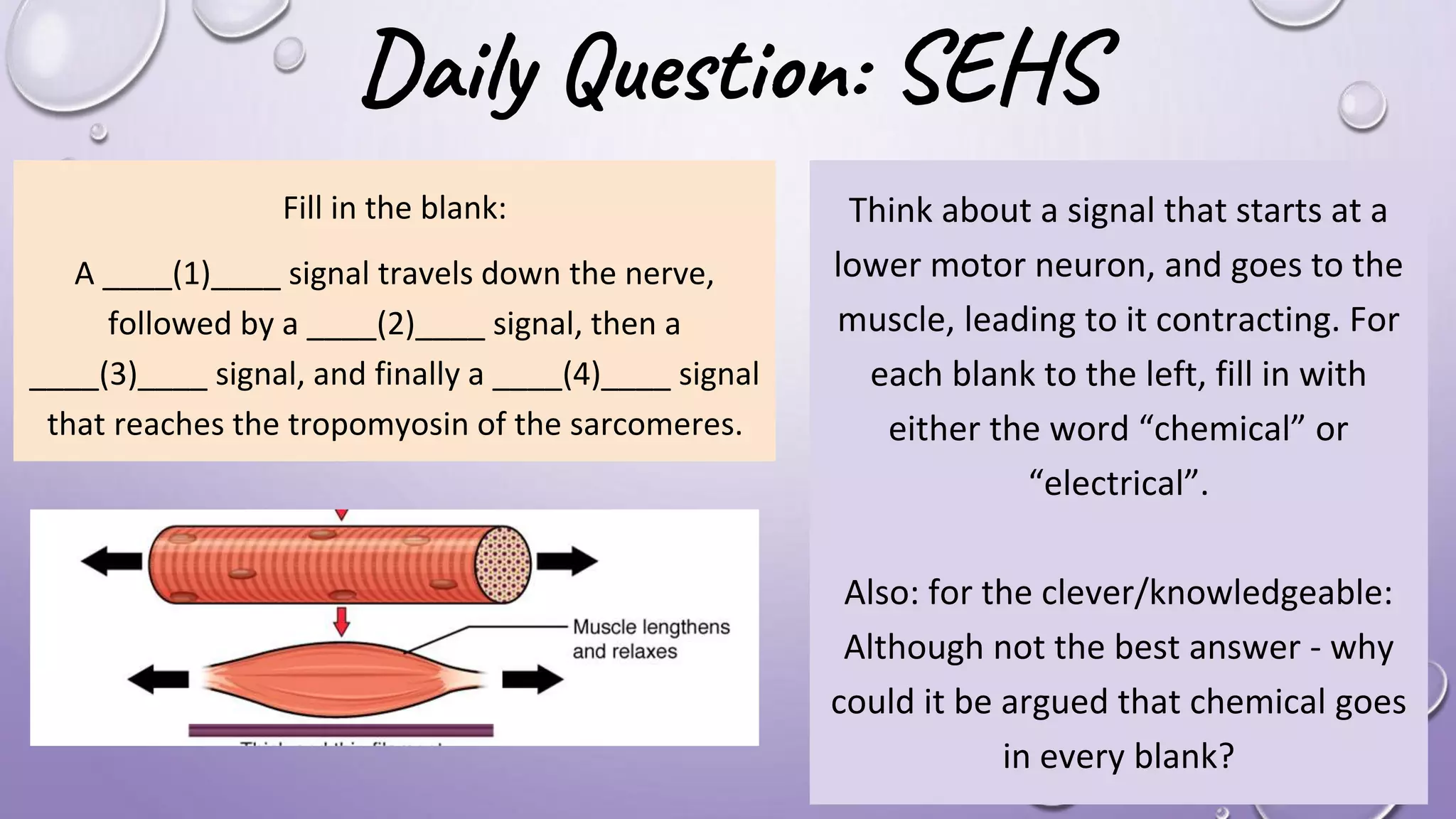 SEHS Daily Questions - Movement Analysis (2022-2023).pptx ...