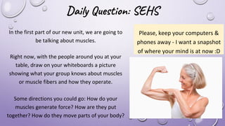 SEHS Daily Questions - Movement Analysis (2022-2023).pptx ...