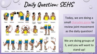 SEHS Daily Questions - Movement Analysis (2022-2023).pptx ...
