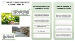SEIA_eestudio de como se incluira los.pptx