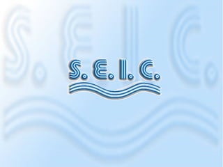 SEIC - Pipeline Modelling Software for GAS | PPS