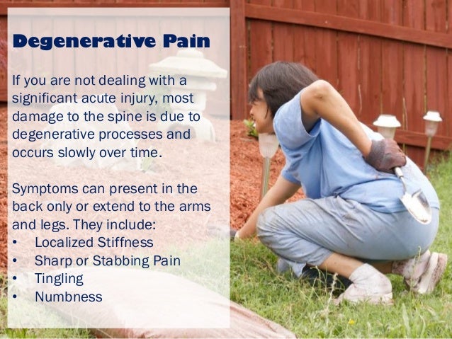 Why Does My Back Hurt? Identifying the Cause of Back Pain Why Does My Back Hurt? Identifying the Cause of Back Pain