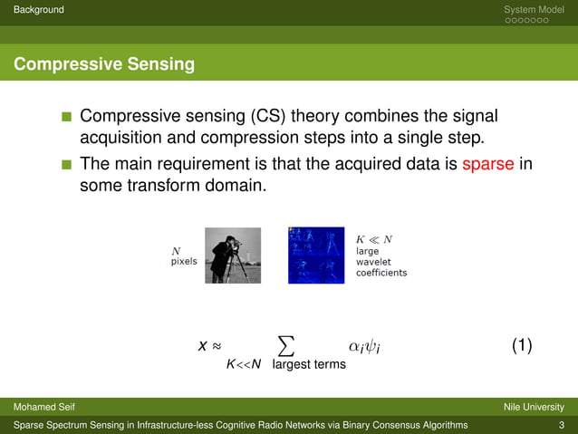 Sparse Spectrum Sensing In Infrastructure Less Cognitive Radio Networks Via Binary Consensus