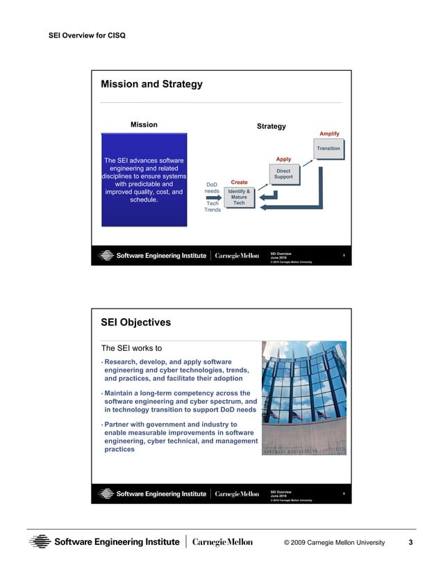 SEI Overview Dr. Paul Nielsen | PDF