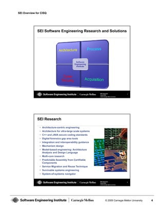 SEI Overview Dr. Paul Nielsen | PDF