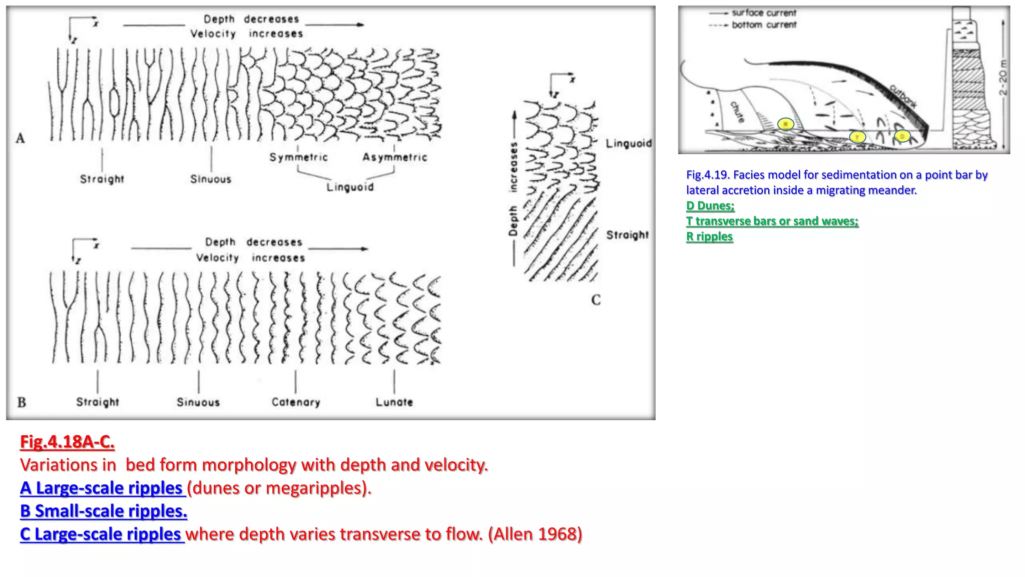 Seismic Facies.pptx | Geology | Science