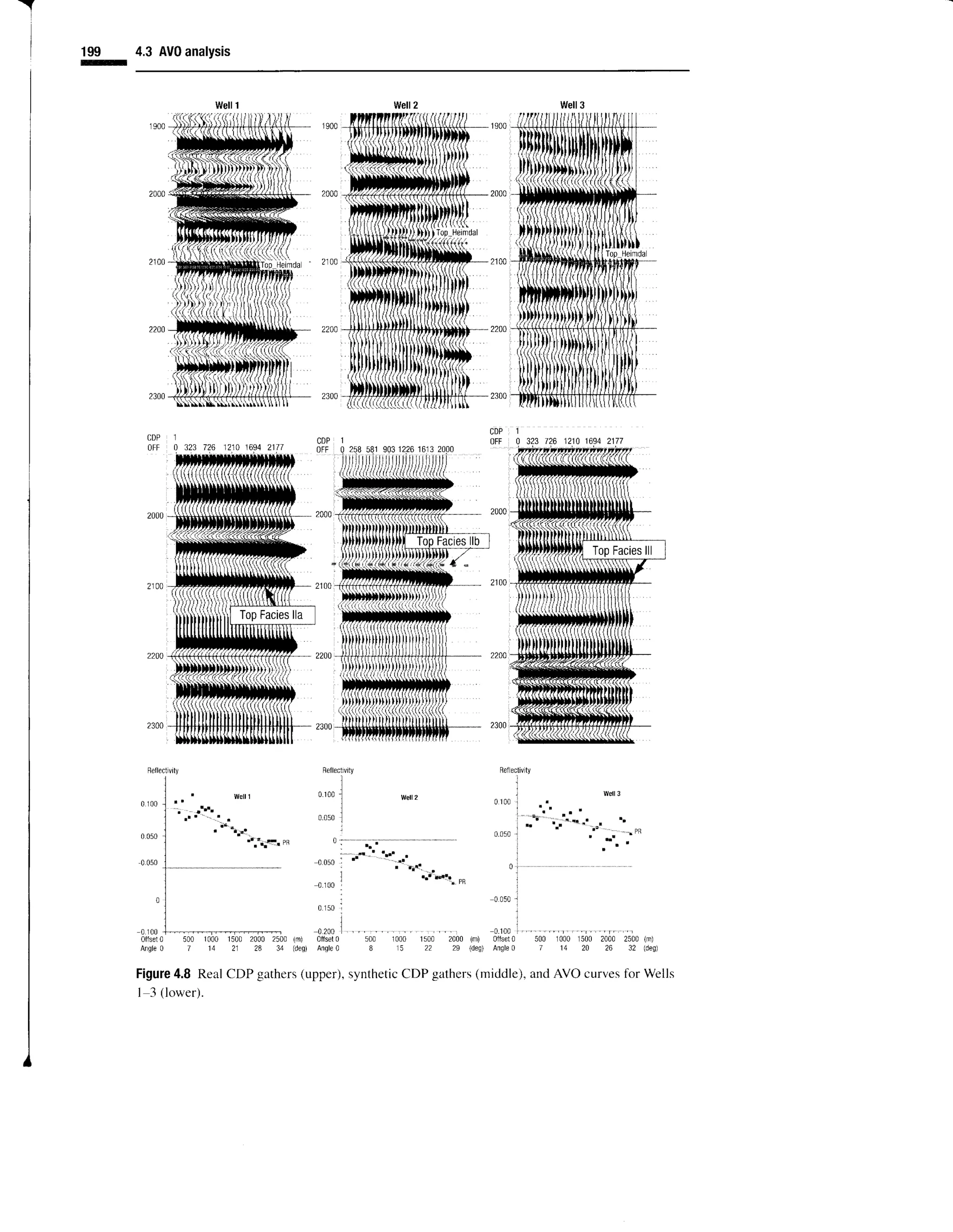 Seismic Interpretation.pdf