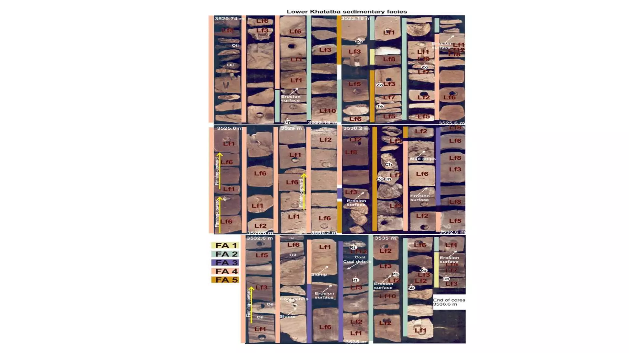 Seismic stratigraphy, sedimentary facies analysis and reservoir ...