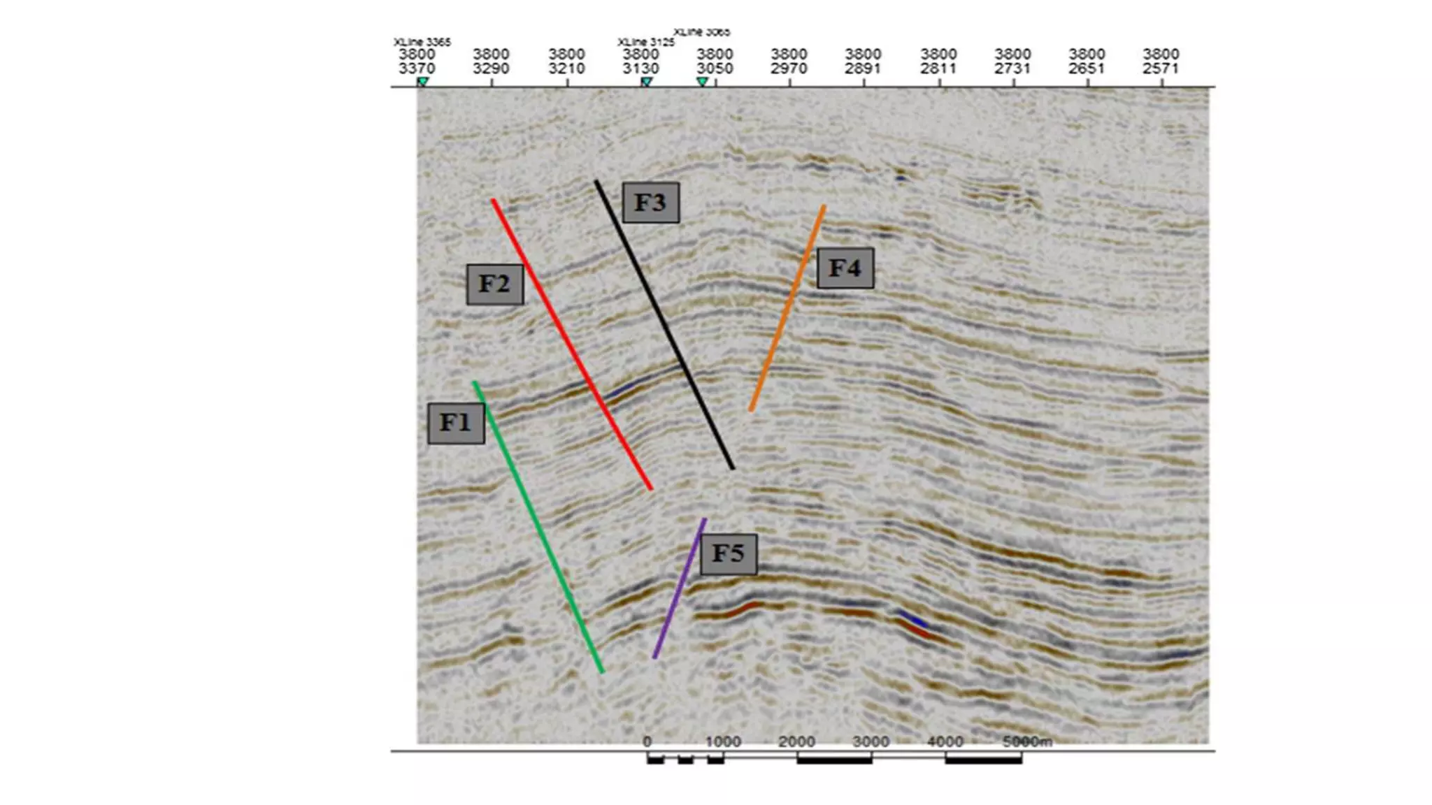 Seismic stratigraphy, sedimentary facies analysis and reservoir ...