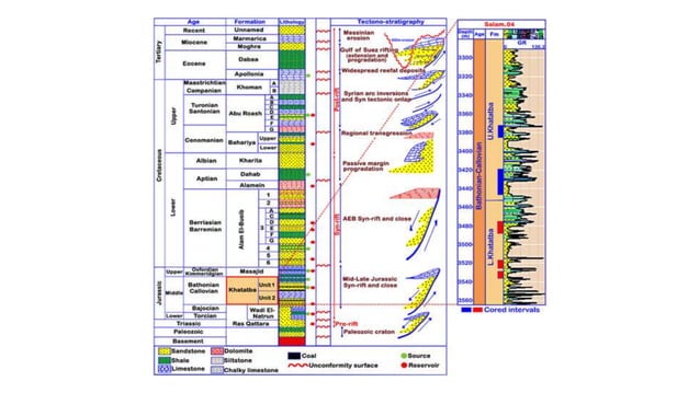 Seismic stratigraphy, sedimentary facies analysis and reservoir ...