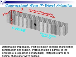 Motion Of P Waves