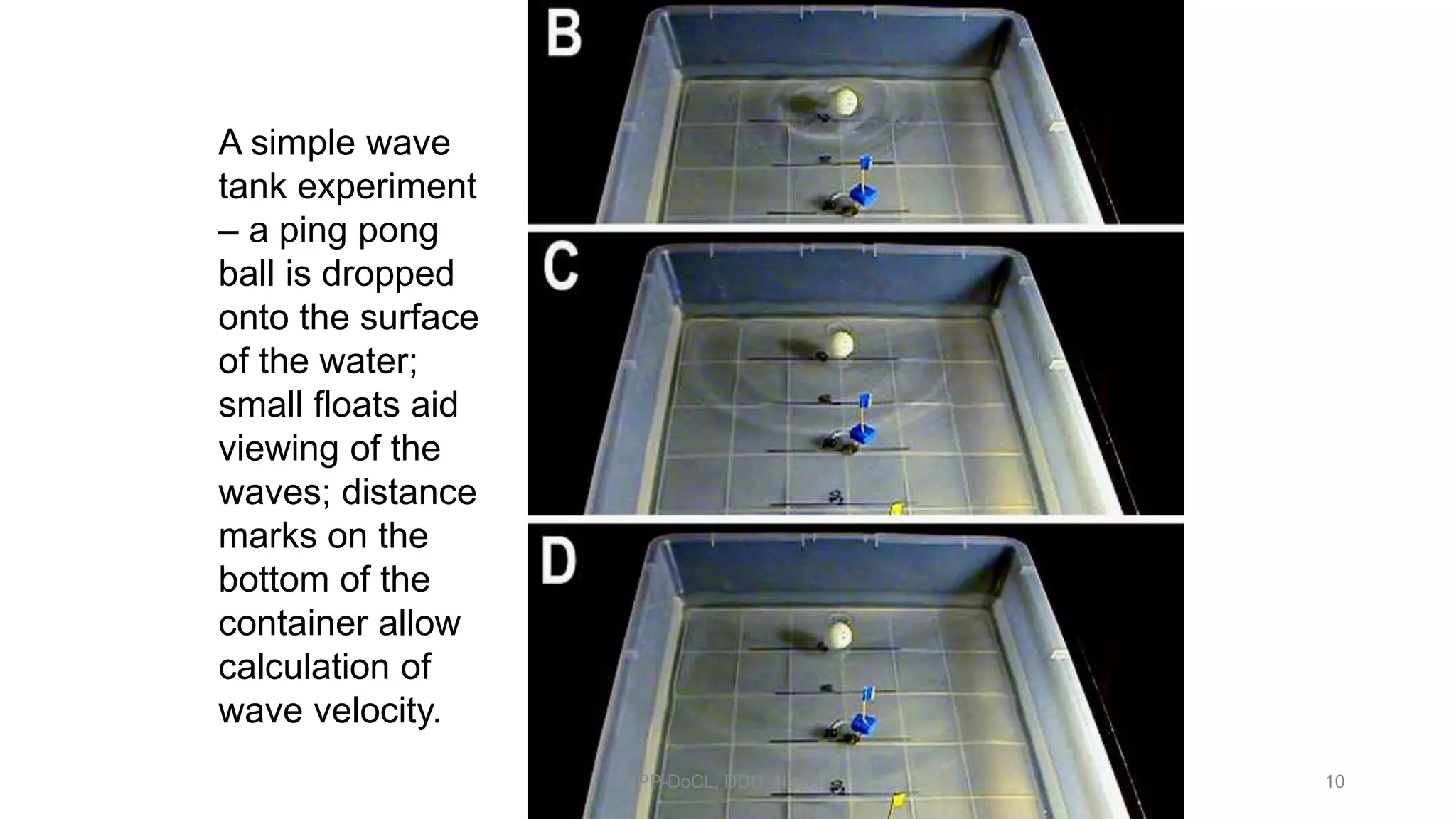 Seismic Waves .pptx