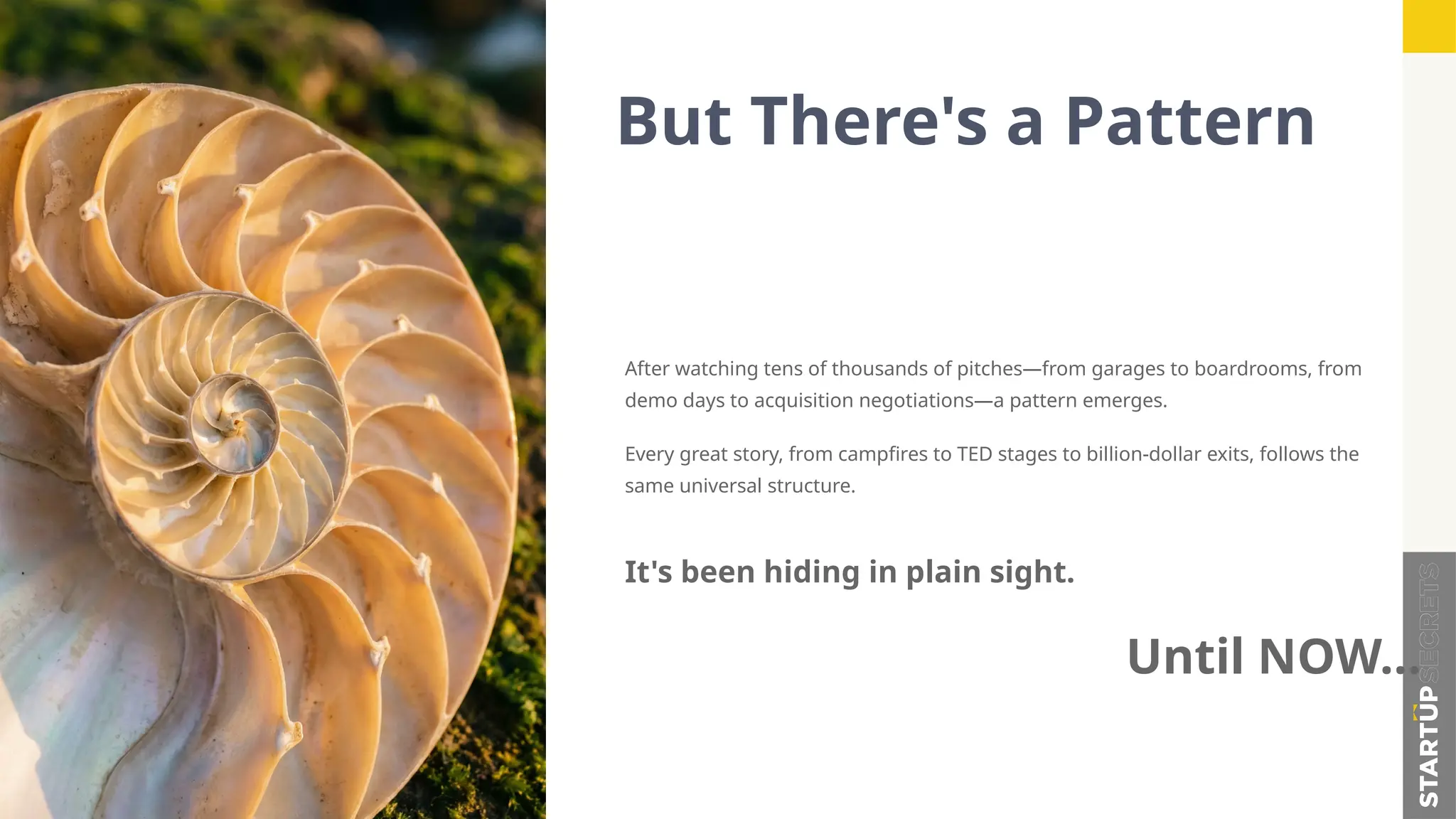 Seize Your Story! - The Startup Secrets of STORYtelling | PPTX