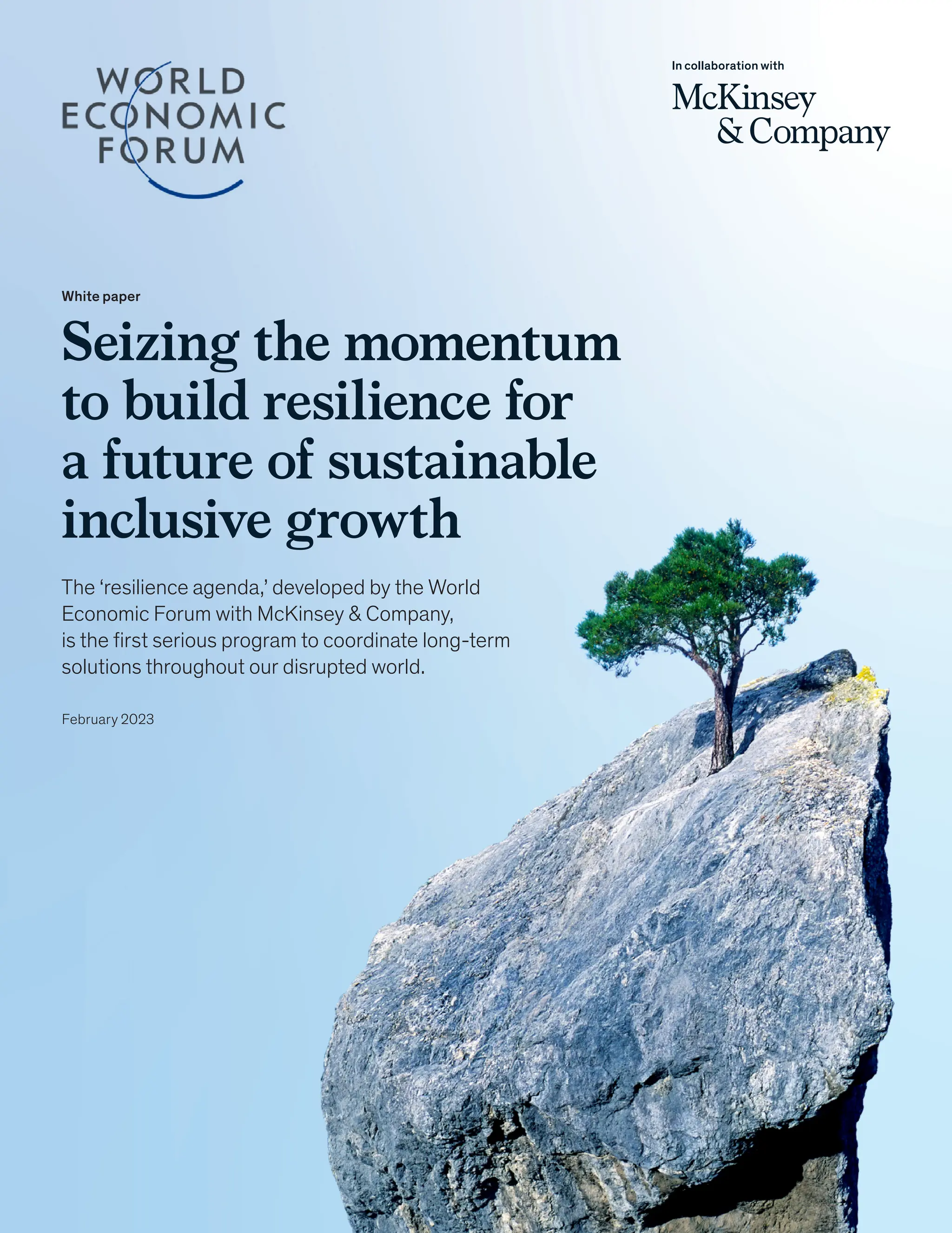 WEF/ McKinsey : Seizing the momentum to build resilience for a future ...
