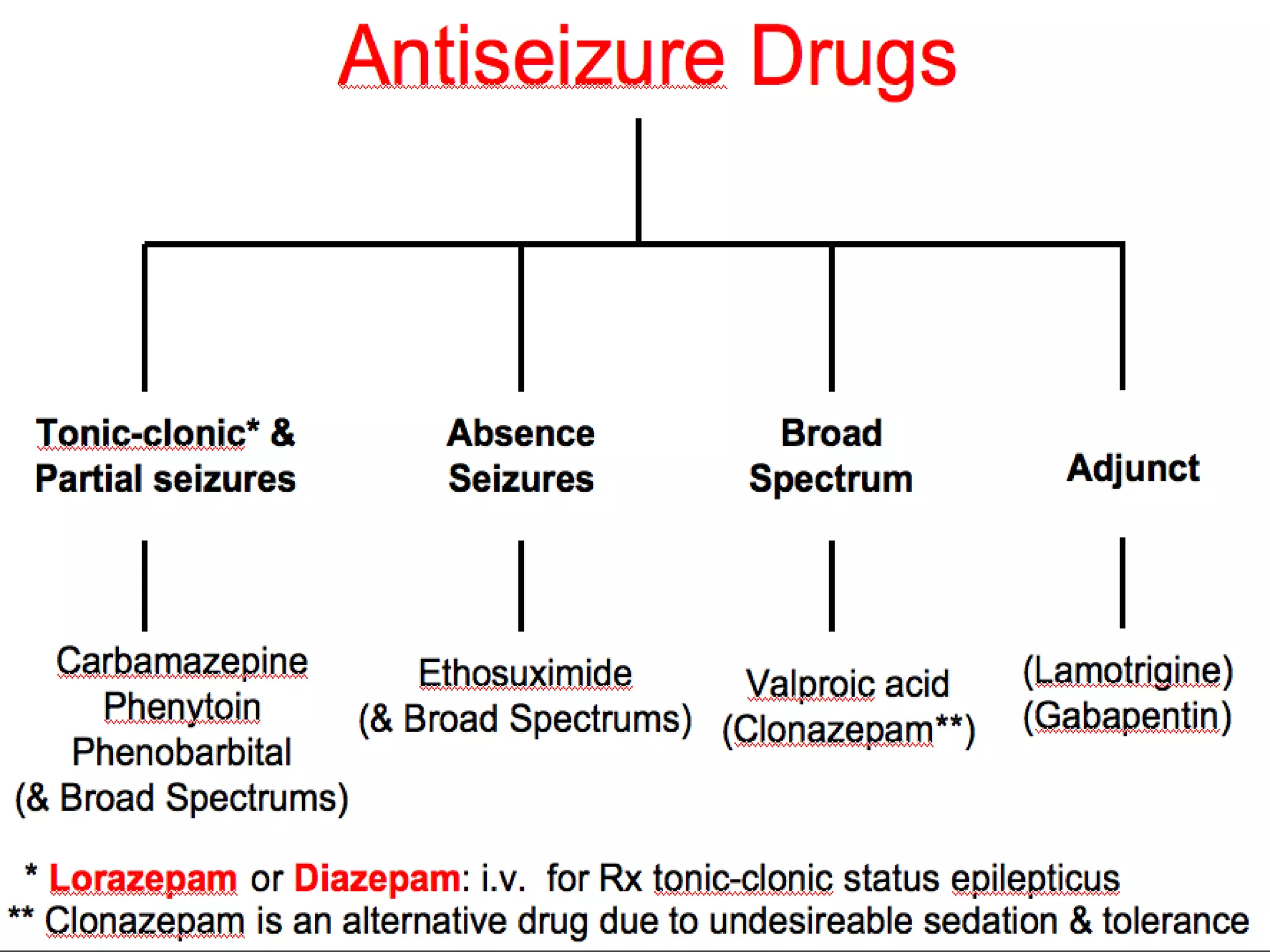 Seizure and epilepsy | PPTX