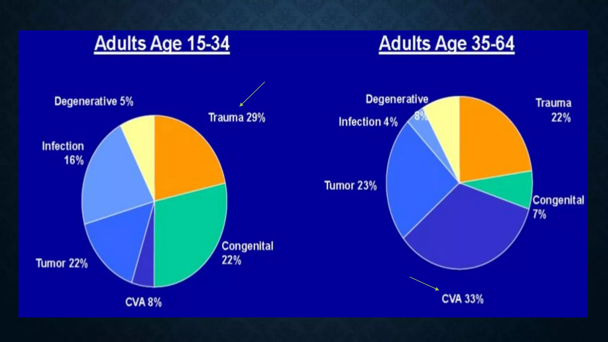 Seizure Disorder.pdf