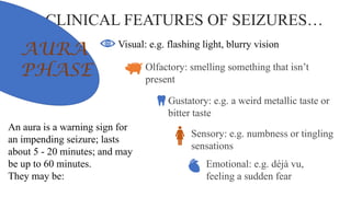 A Brief overview of Seizure Disorder(revised).pptx