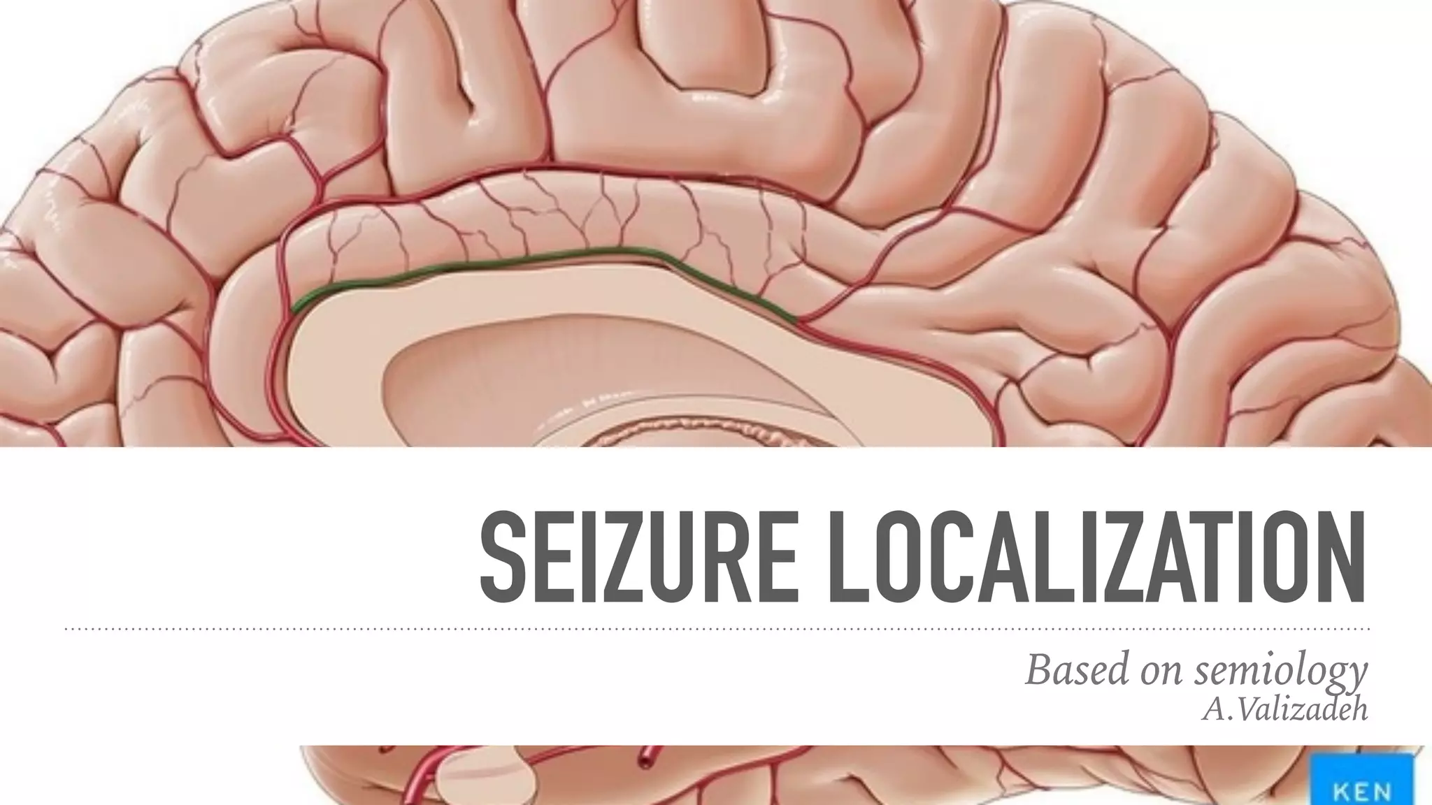 Seizure localization; based on semiology | PDF