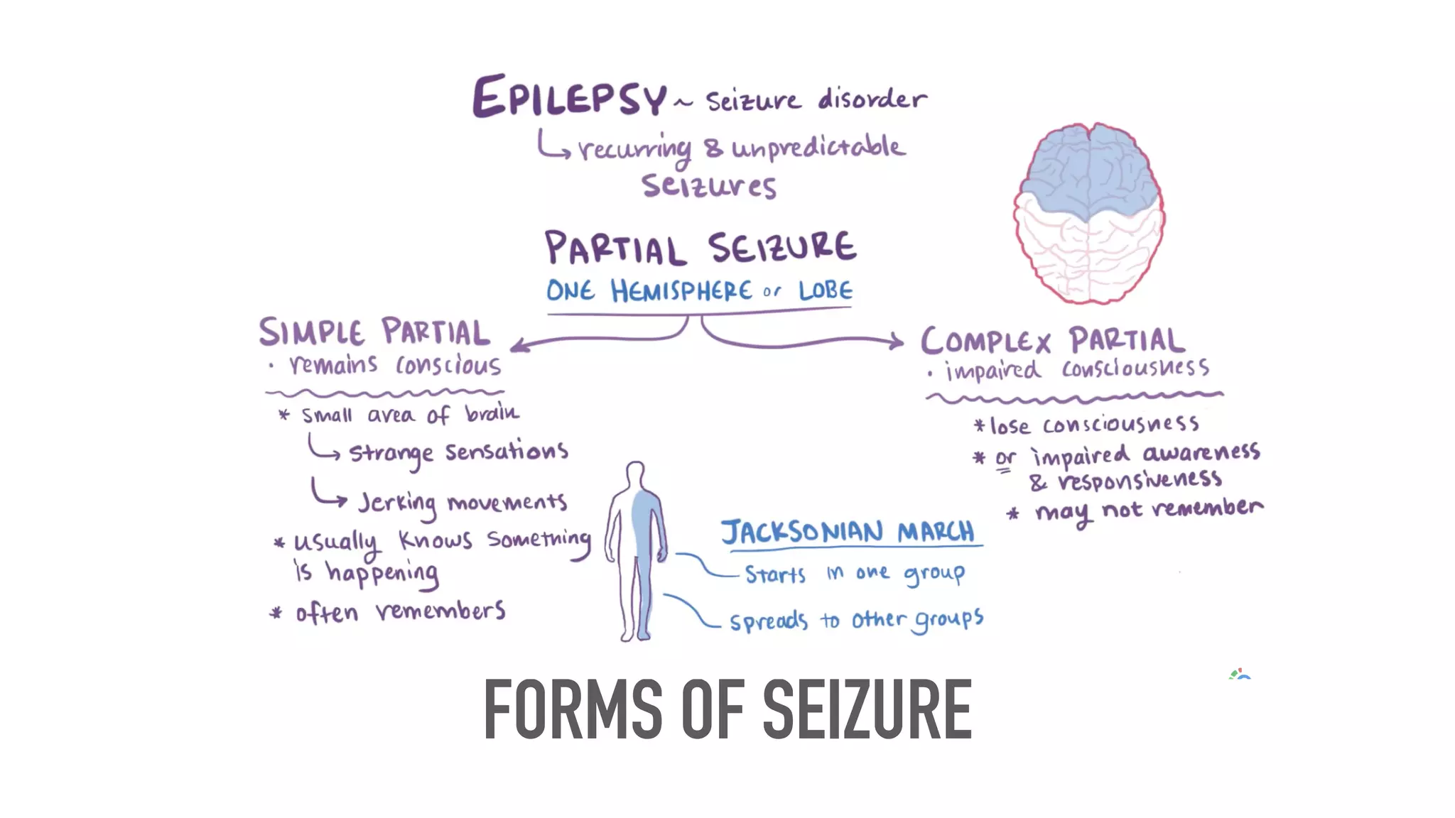 Seizure localization; based on semiology | PDF