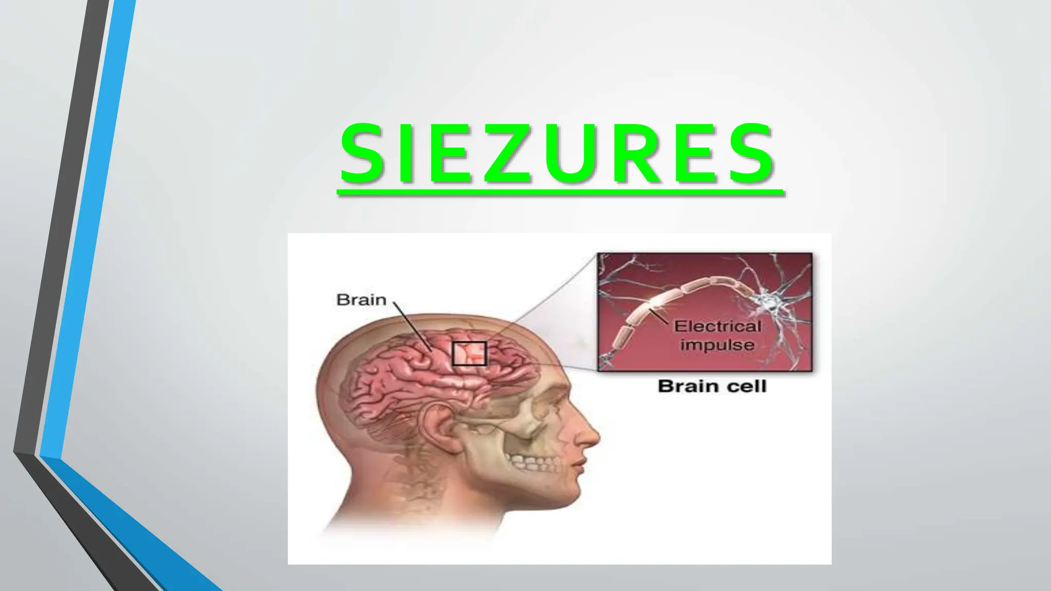 SEIZURES AND EPILEPSY DISORDER BY MS RIYA | PPTX