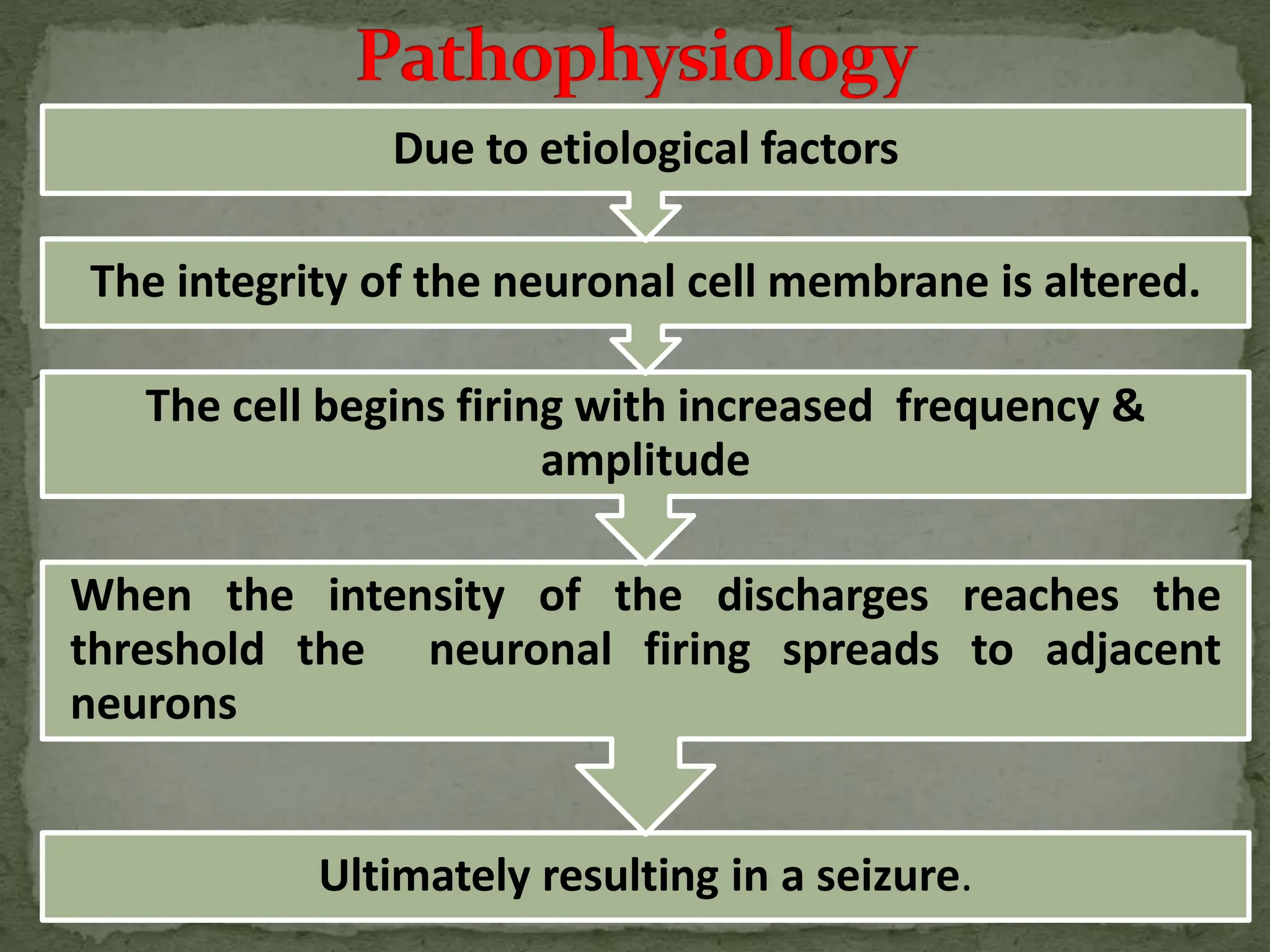 SEIZURES DISORDERS.pptx neuro disorders epilepsy | PPTX