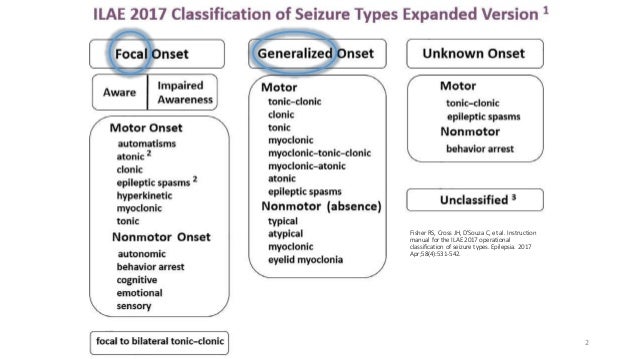 Seizure Semiology: Introduction