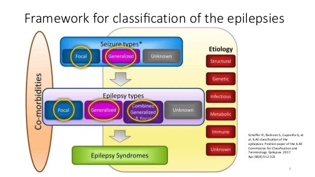 Seizure Semiology: Introduction