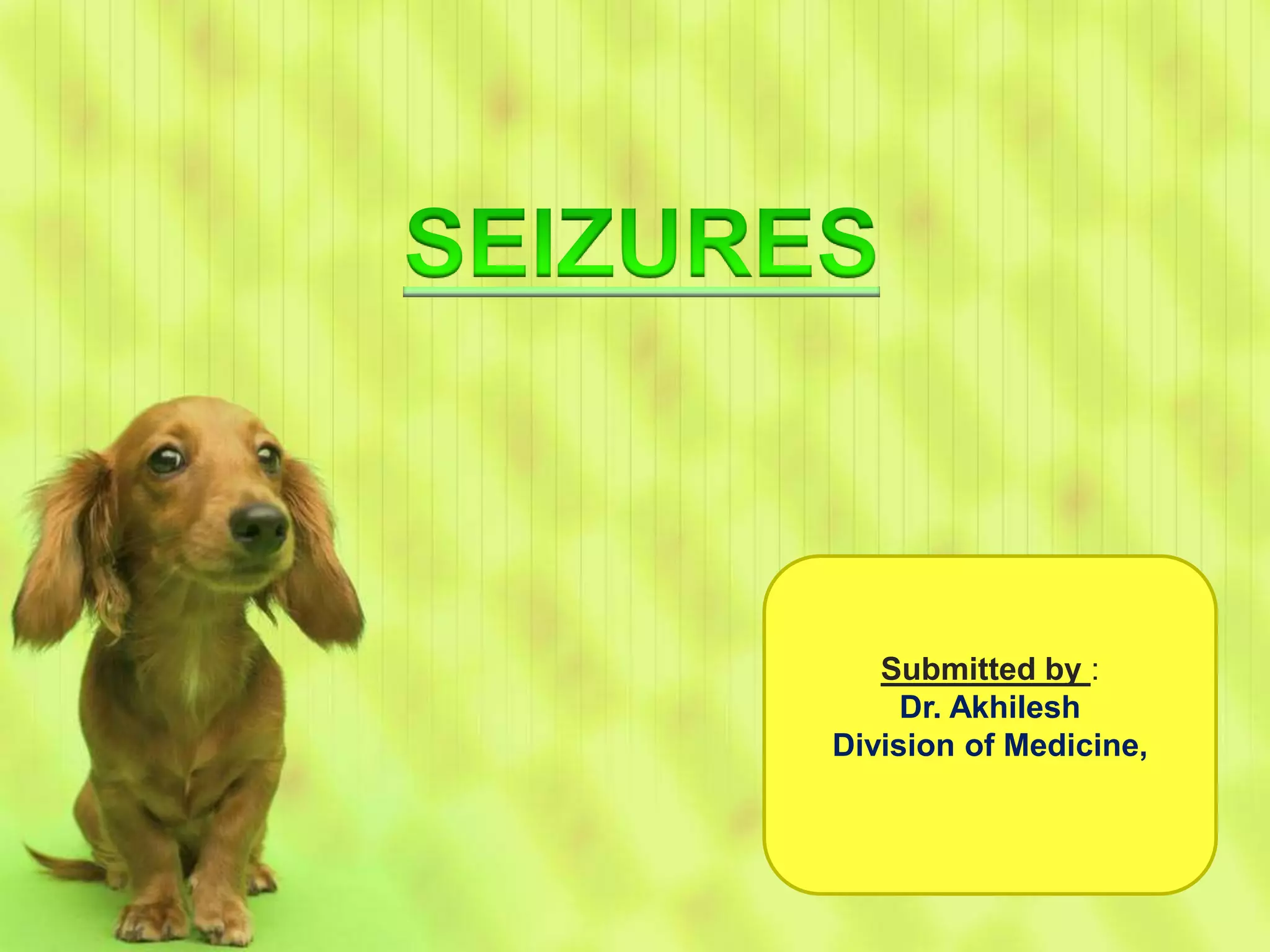 Seizures in animals | PPTX