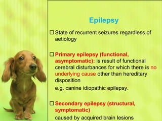 Seizures in animals | PPTX