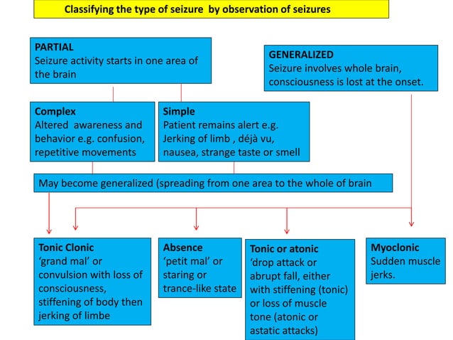 Seizures in children | PPT