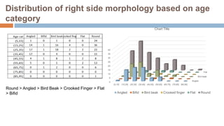 Panoramic radiographic study to assess the morphology of mandibular ...
