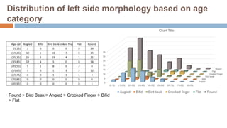 Panoramic radiographic study to assess the morphology of mandibular ...
